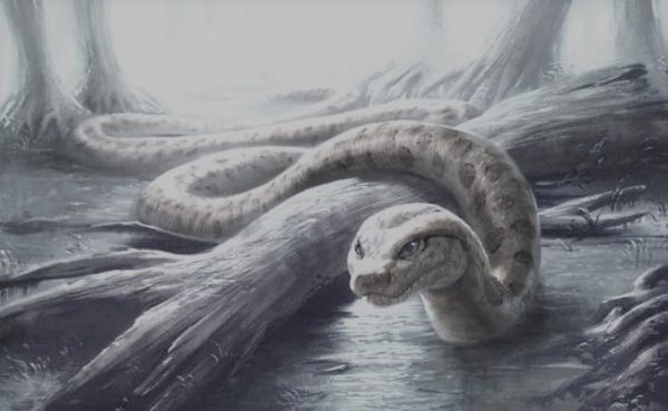 La leyenda de la Yacumama: Guardián del Amazonas. – Miedoteca Oficial