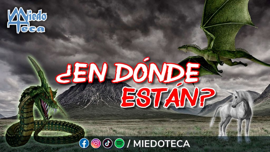 La maldición del video 1444. – Miedoteca Oficial